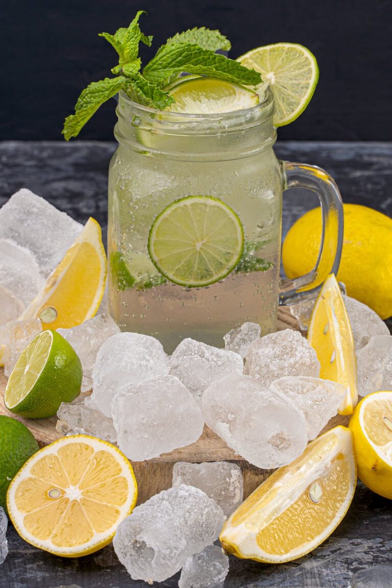18 Non-Alcoholic Drink Alternatives You must try - Stop Drinking